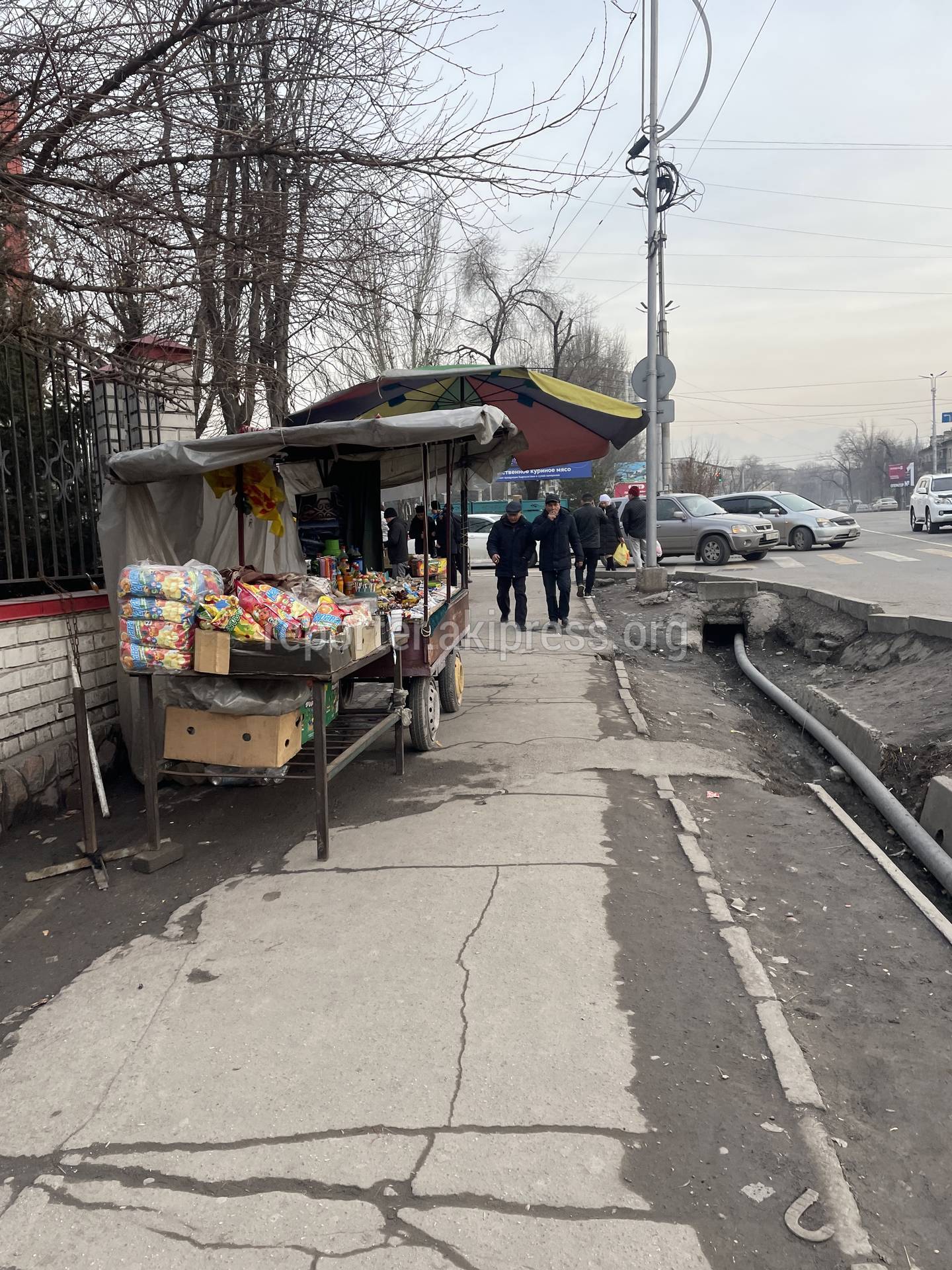 Горожанин жалуется на стихийную парковку на Фучика Фото