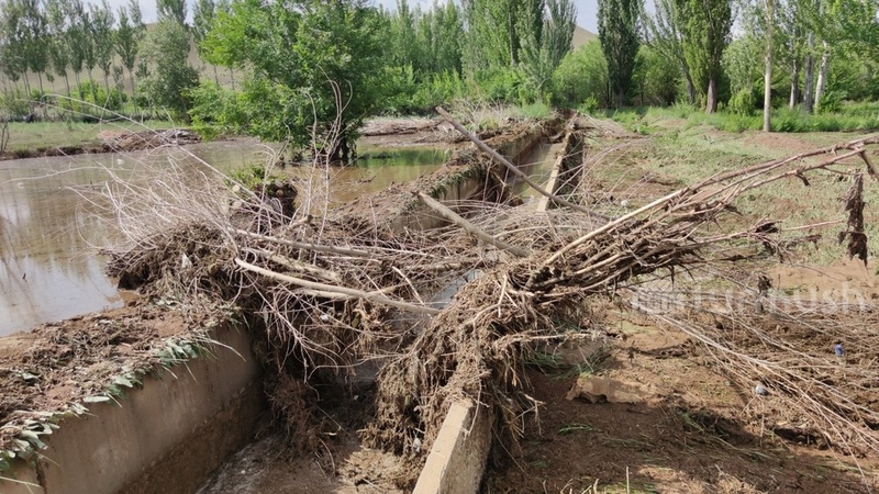 Mudflows wash away potato and barley fields in Issyk-Kul region ...