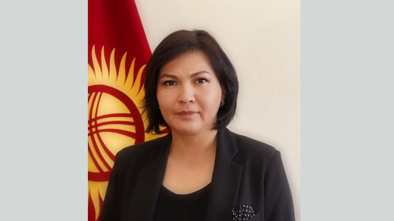 Asel Raimkulova appointed as Deputy Minister of Natural Resources ...