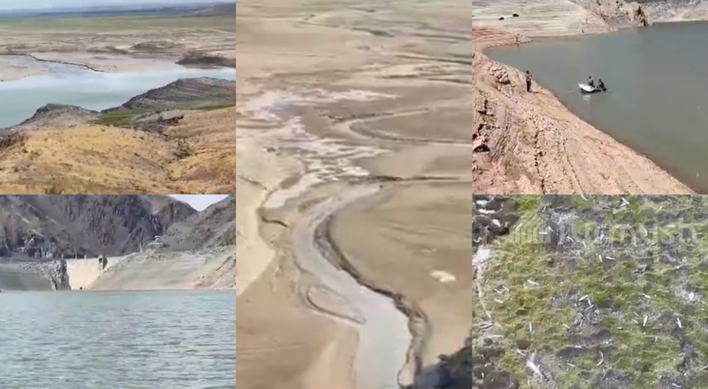 Unprecedentedly low water level in Kirov Reservoir causes mass fish die ...