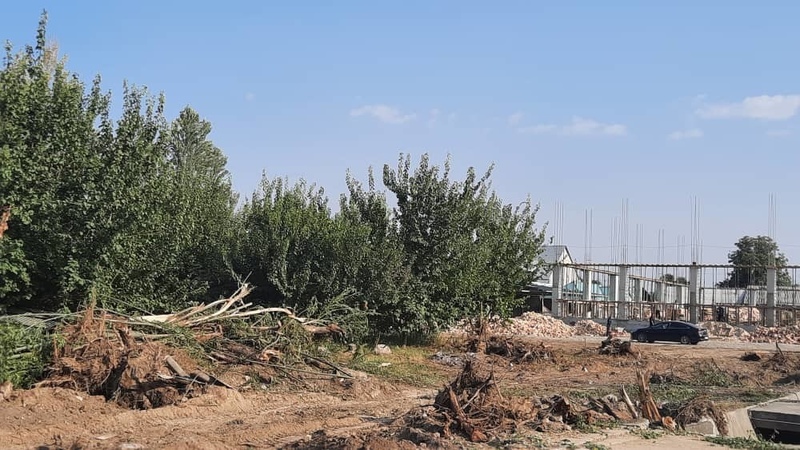 IT-town might appear in Osh on 72 hectares of land - AKIpress News Agency